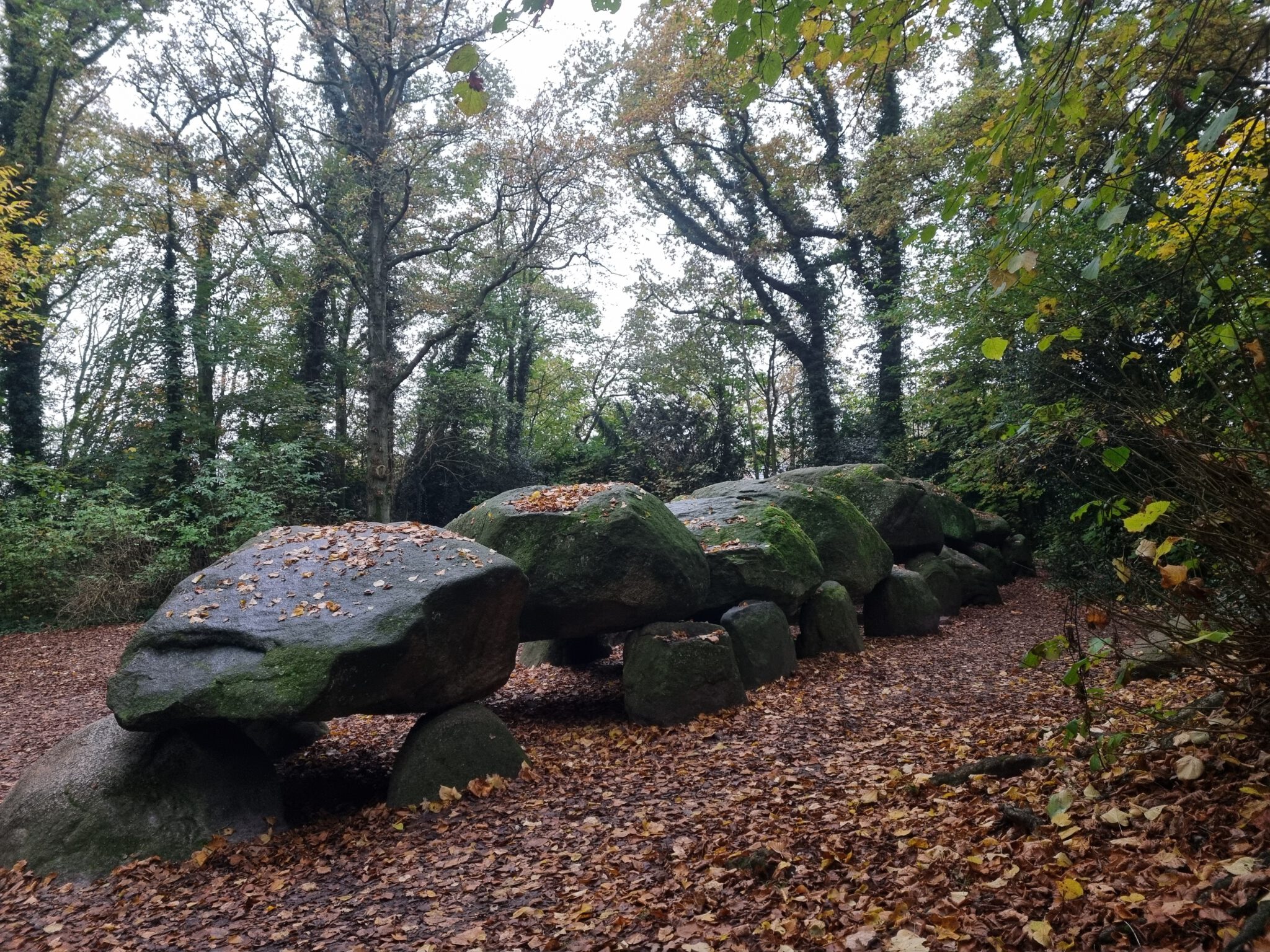 Nuuverstee – Camperpark & Appartementen